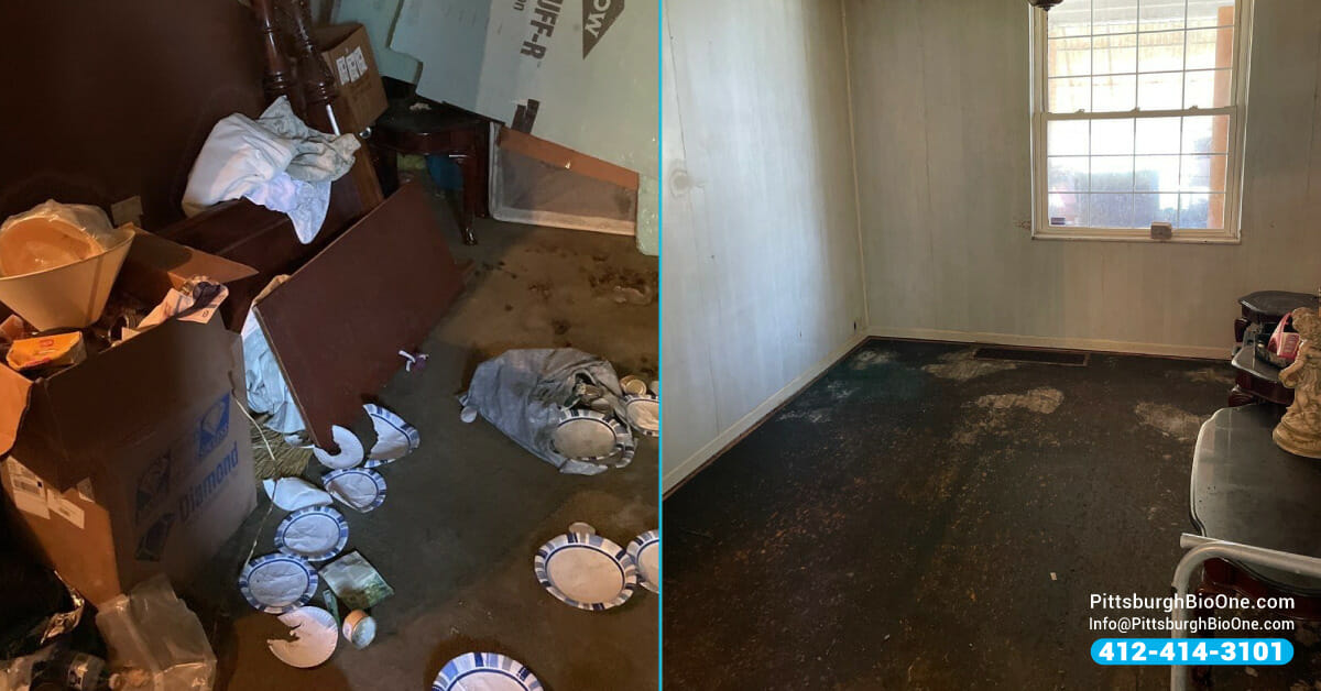 Stages of Hoarding - Bio-One of Pittsburgh