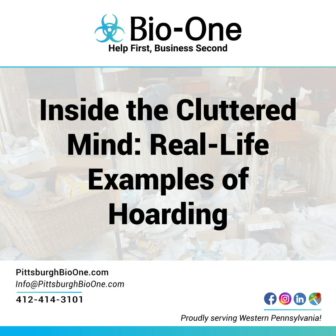Inside the Cluttered Mind: Real-Life Examples of Hoarding - Bio-One of ...