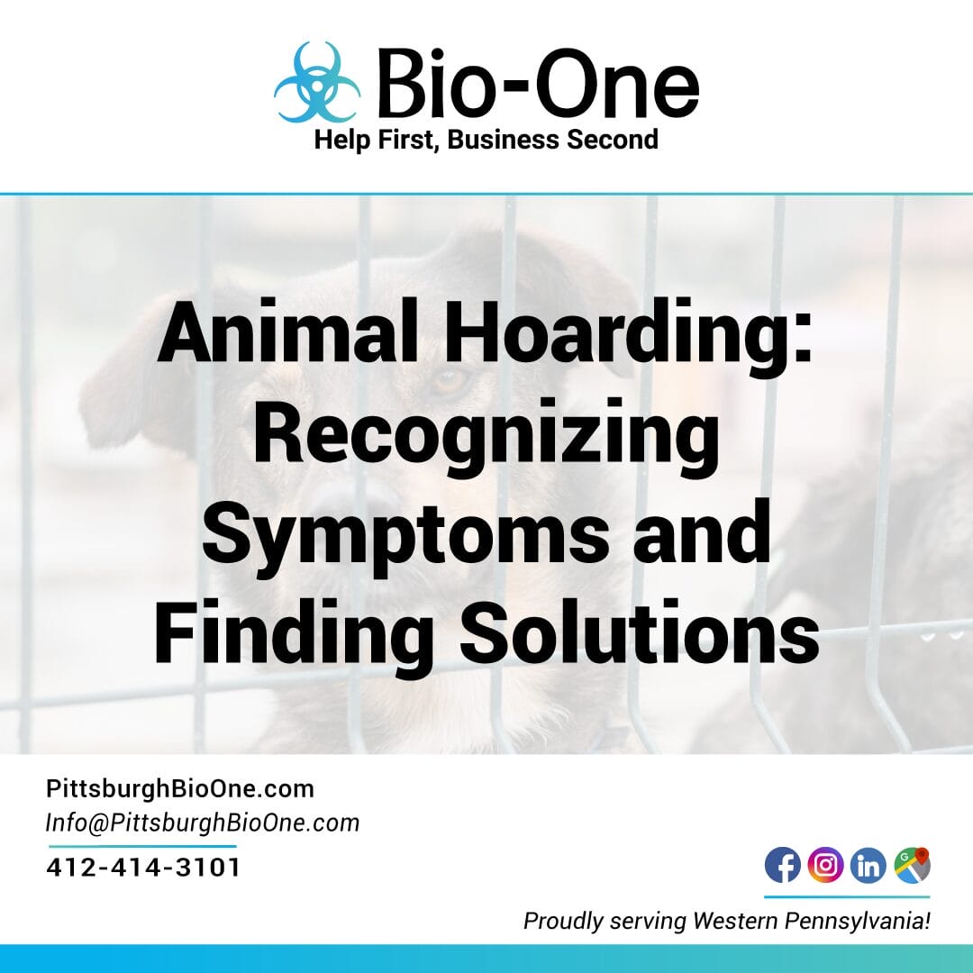 Animal Hoarding: Recognizing Symptoms and Finding Solutions - Bio-One ...