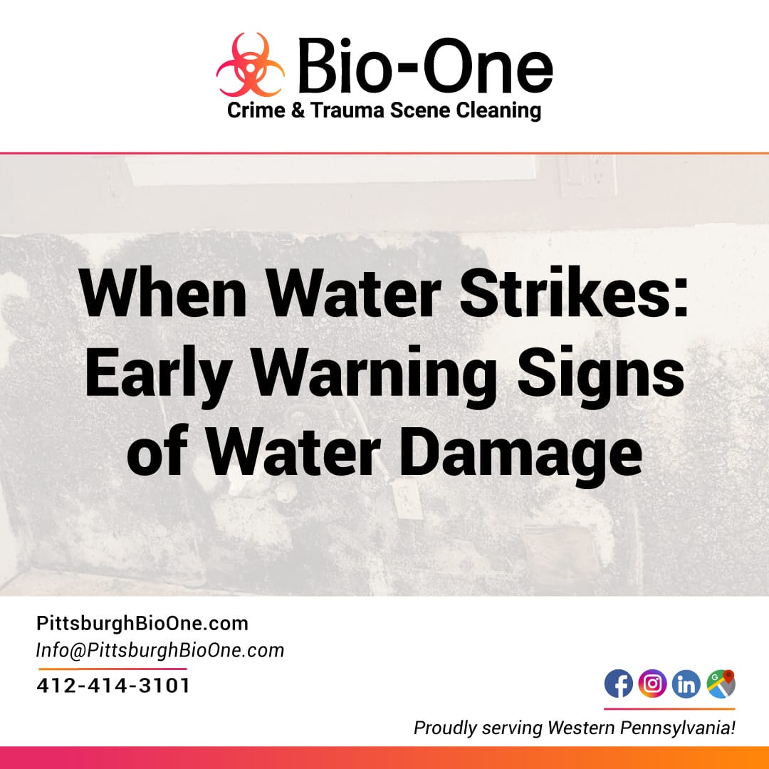 When Water Strikes: Early Warning Signs of Water Damage - Bio-One of ...