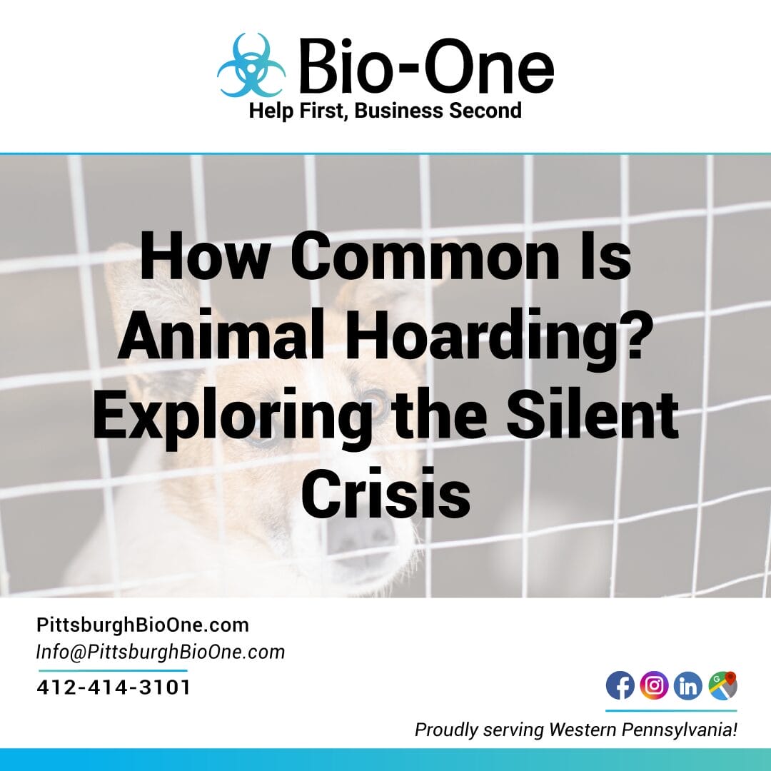 How Common Is Animal Hoarding? Exploring the Silent Crisis - Bio-One of ...