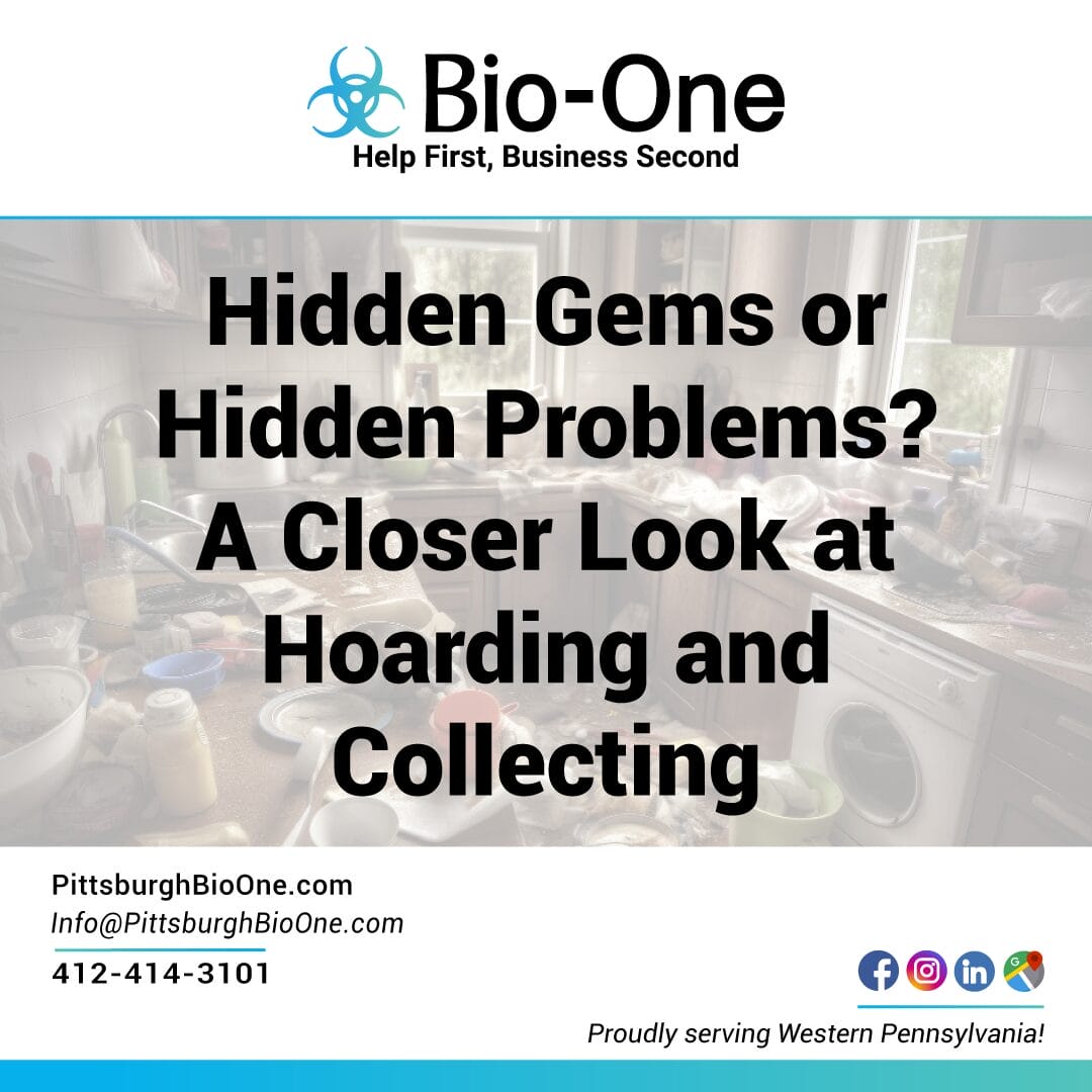 Hidden Gems or Hidden Problems? A Closer Look at Hoarding and ...