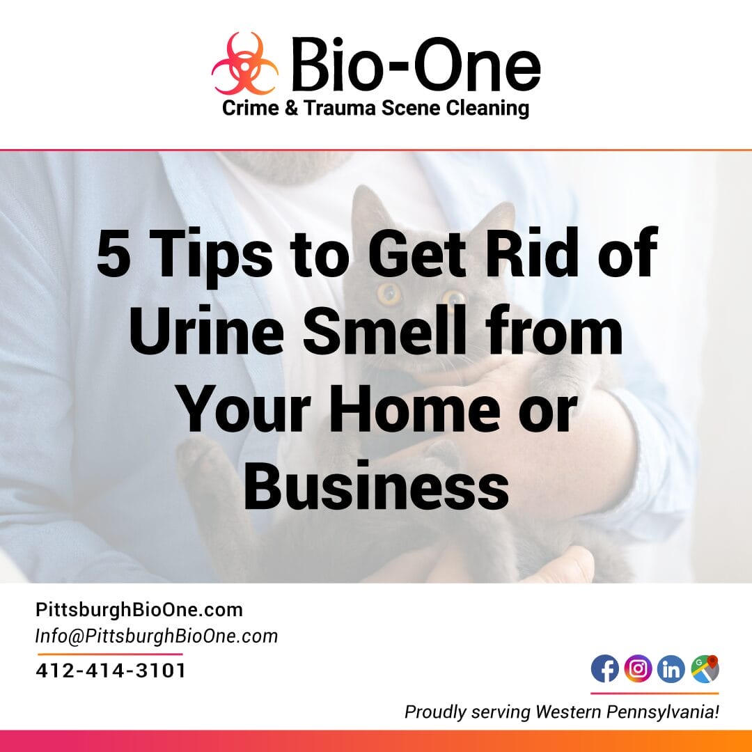 5 Tips to Get Rid of Urine Smell from Your Home or Business - Bio-One ...